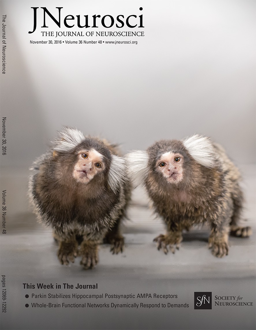 Common Marmoset Research
