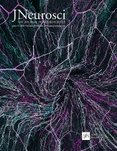 Table of Contents — June 17, 2026, 46 (24) | Journal of Neuroscience